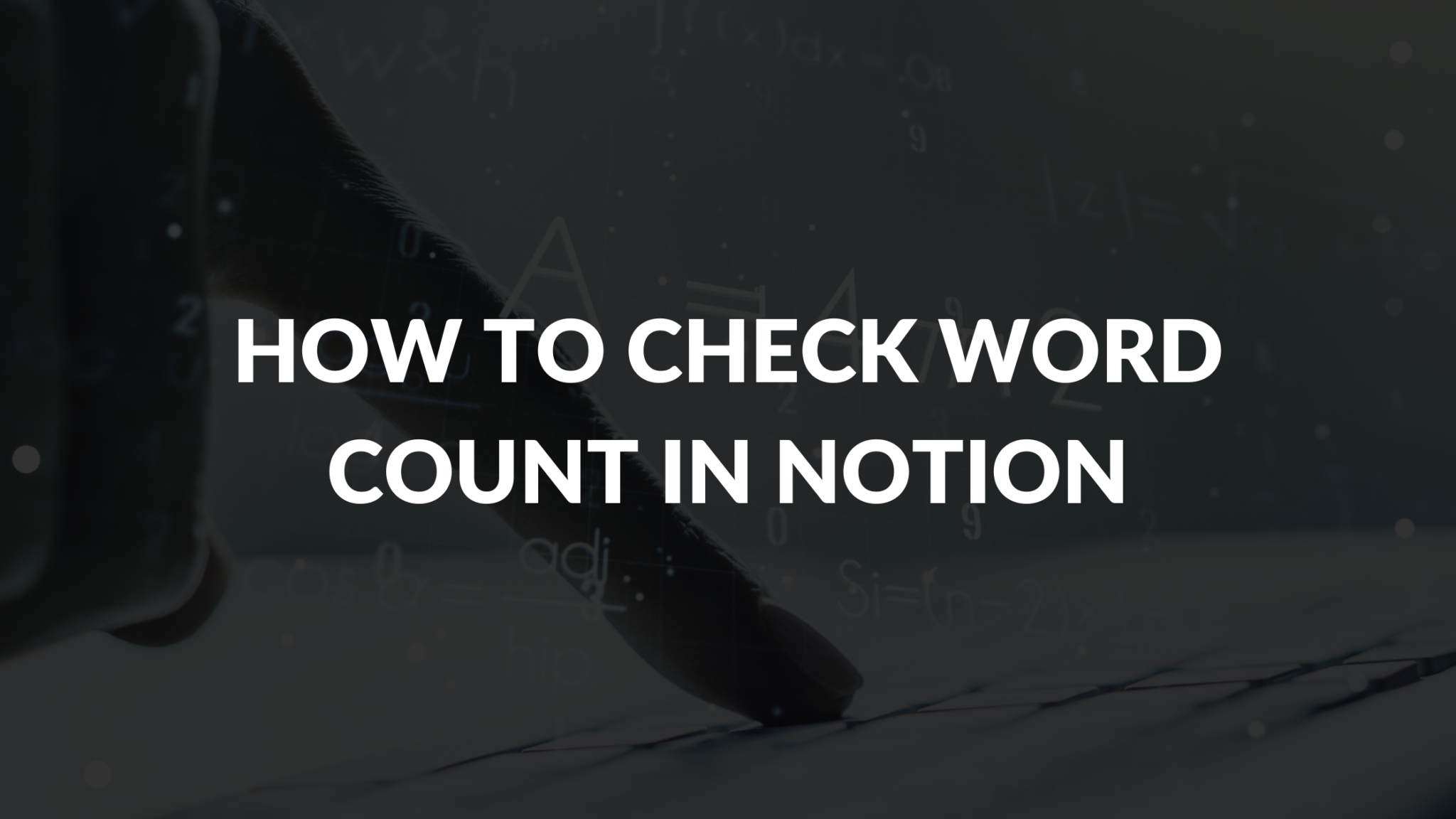 How to Check Word Count in Notion - Create with Notion